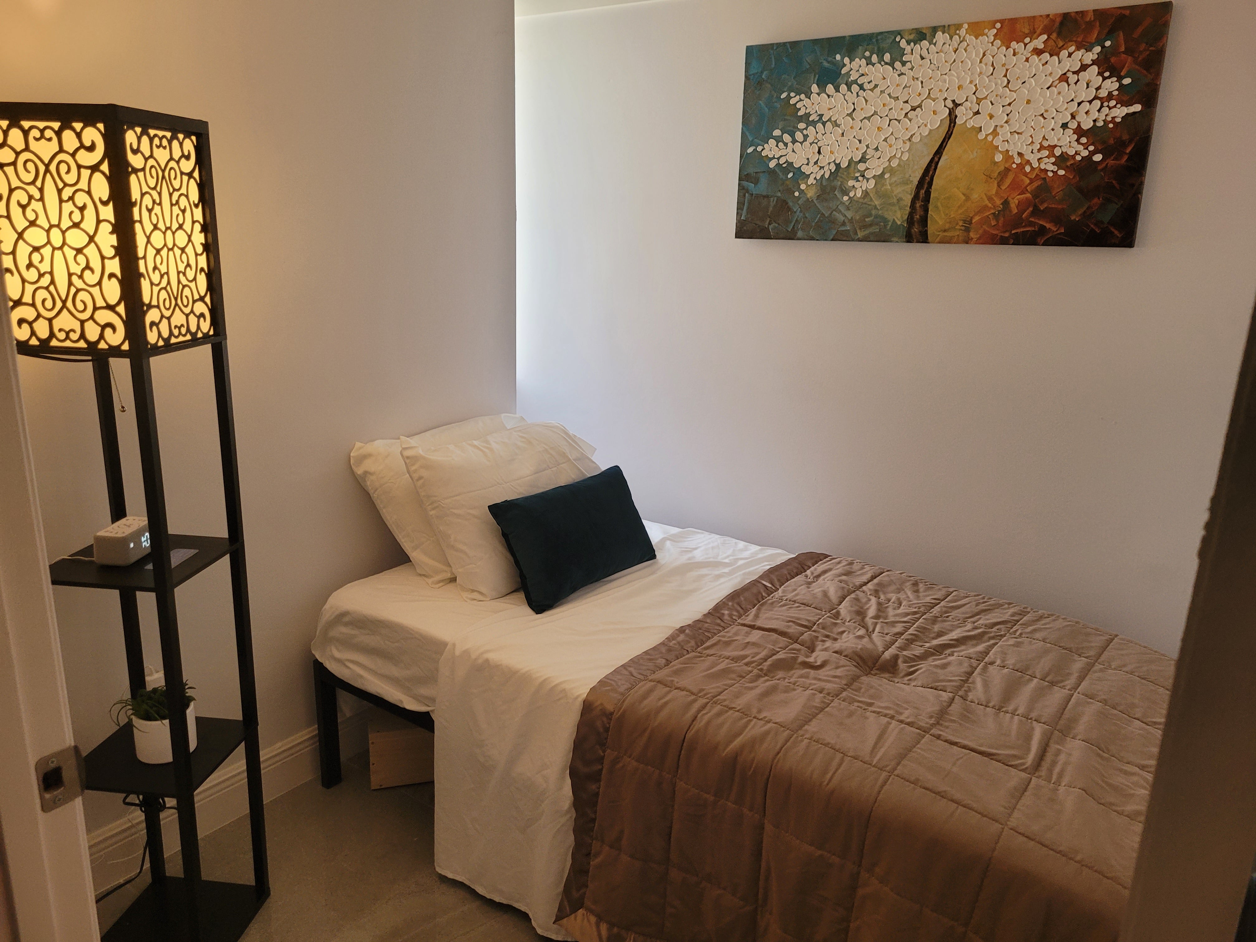 Overnight Session | Tampa, FL – Tesla BioHealing & MedBed Centers