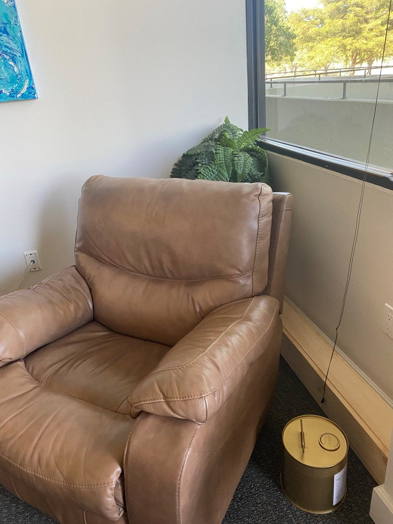 1 Hour Session | Sarasota, FL – Tesla BioHealing